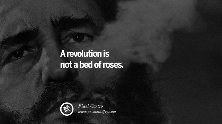 15 Quotes by Fidel Castro and Ernesto Che Guevara